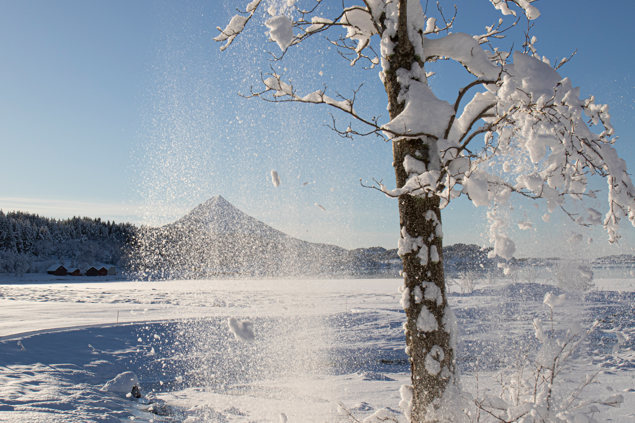 Vinter, vebju og mjellsnø – FINTENKJARPLASSEN